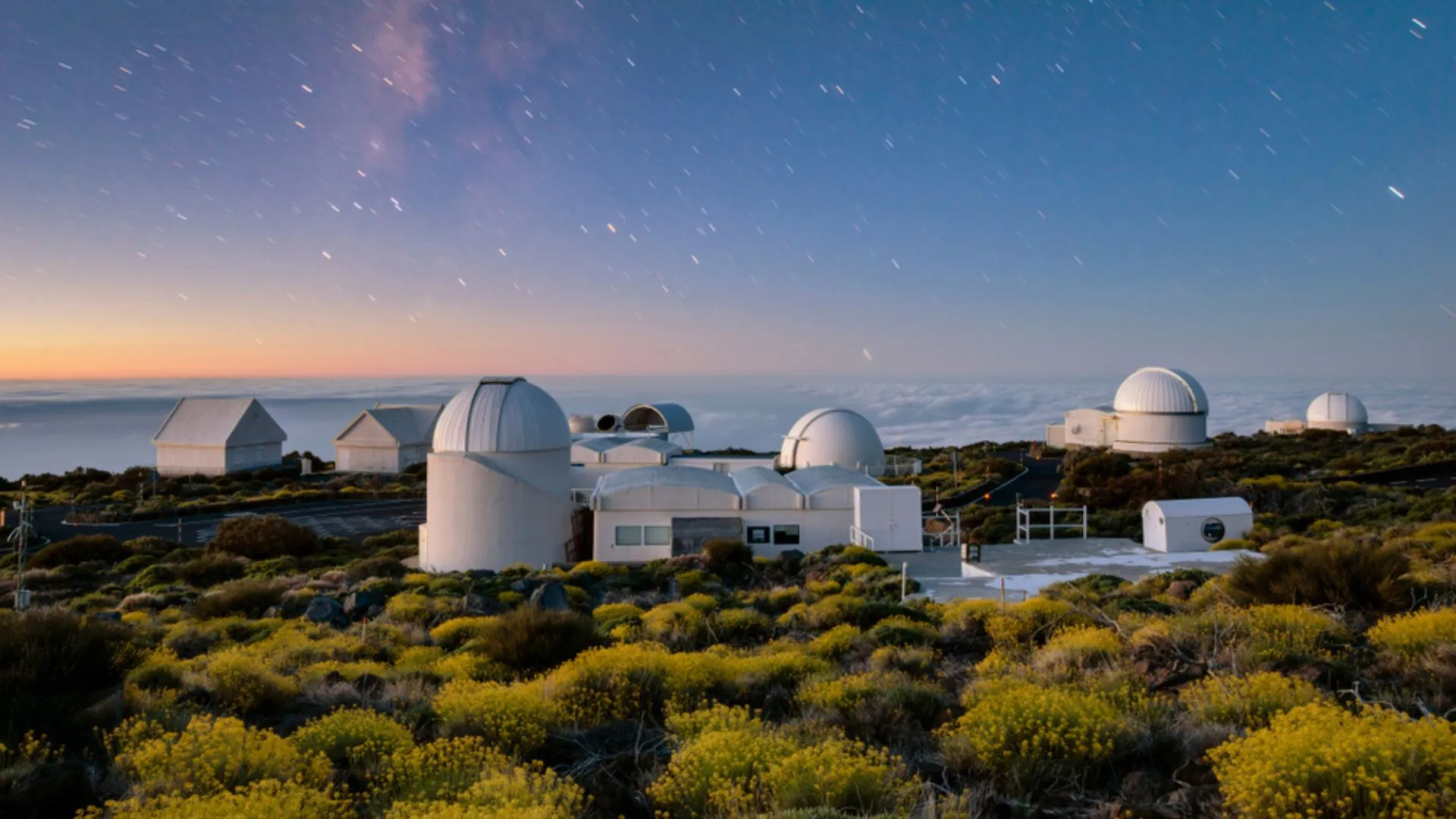 Aie Lanza Observatorio De Ia Y Energía A Nivel Global