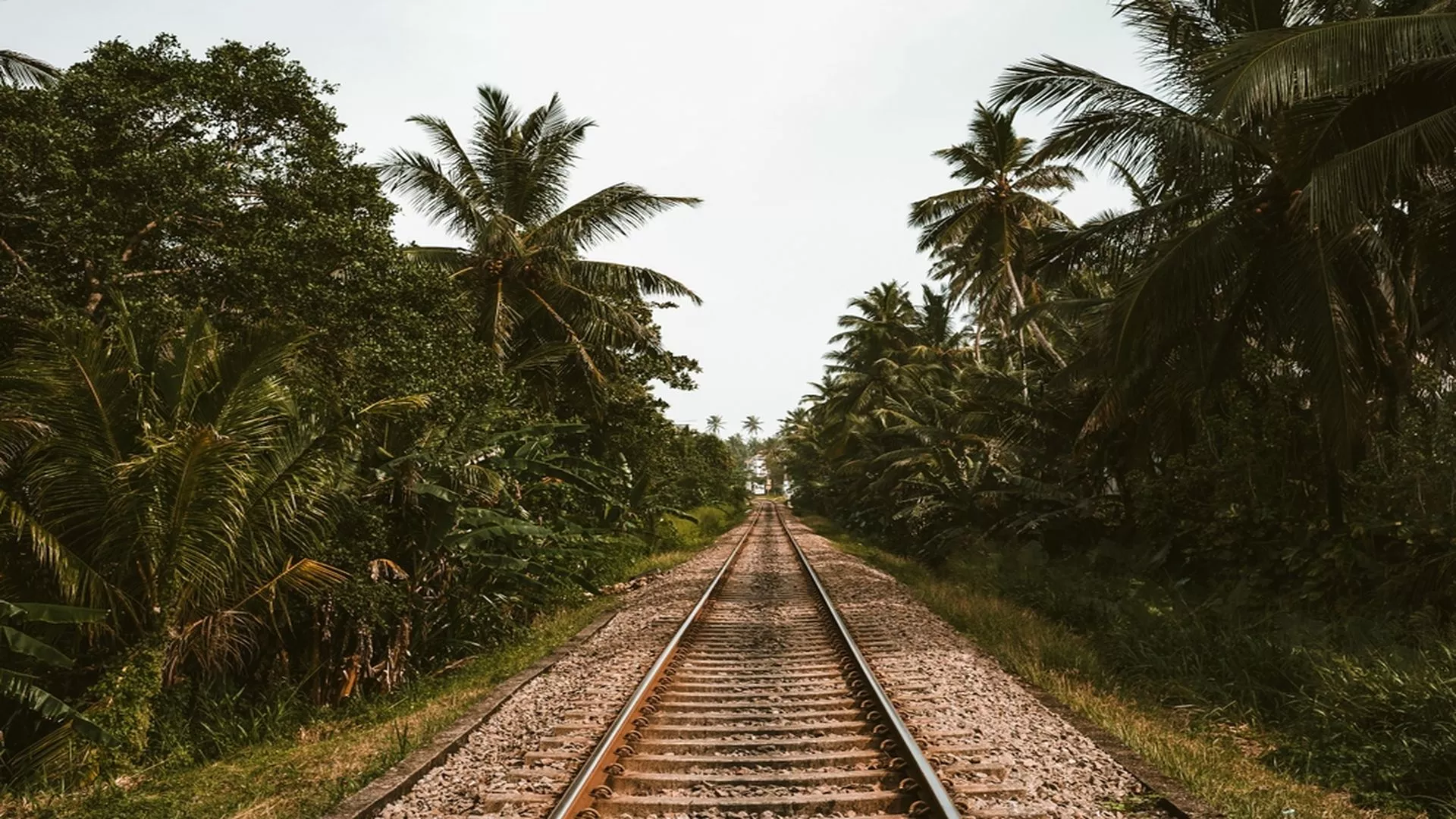 Avanza el proyecto del tren transoceánico de Colombia