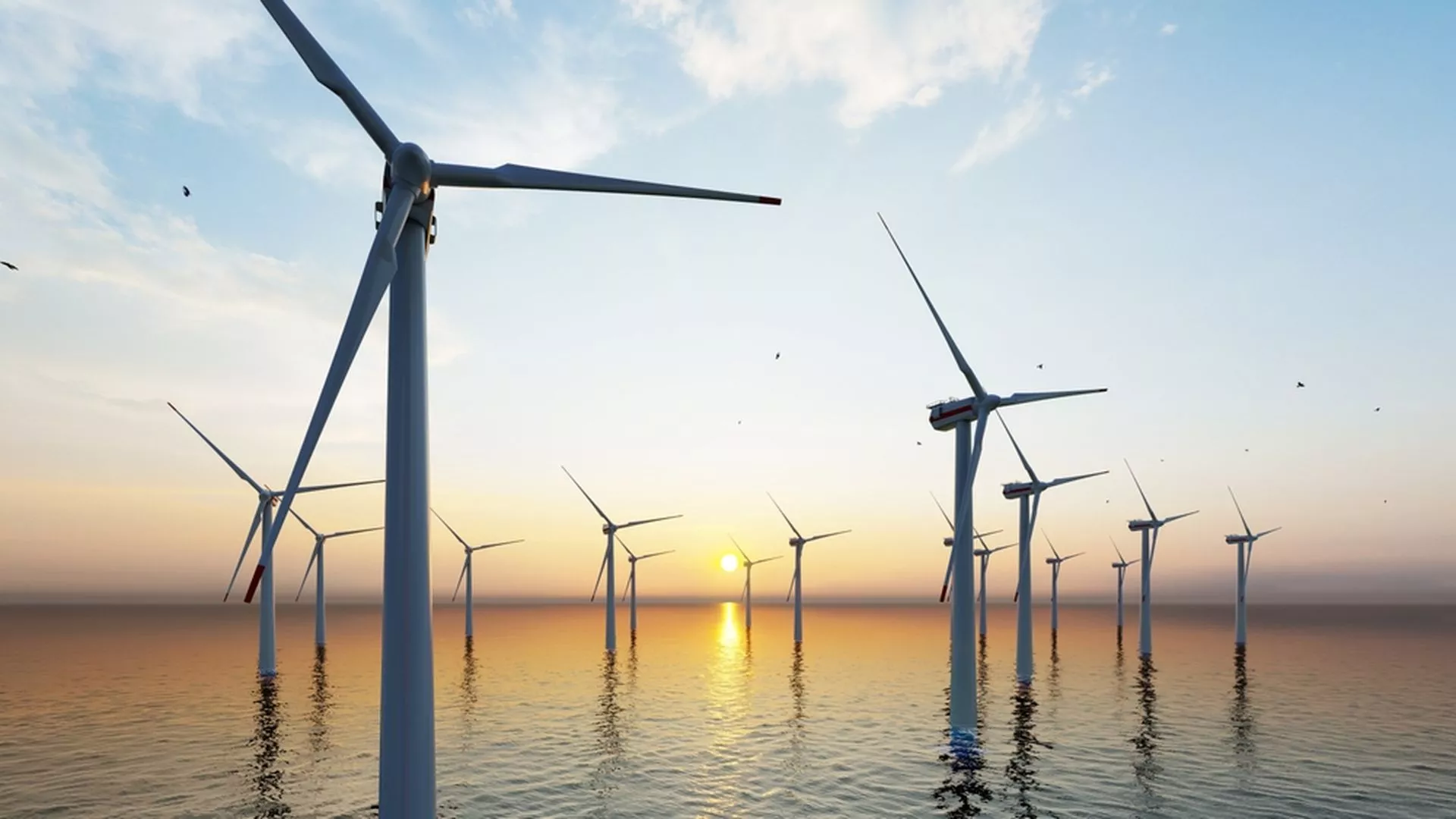Parque Eolico Offshore