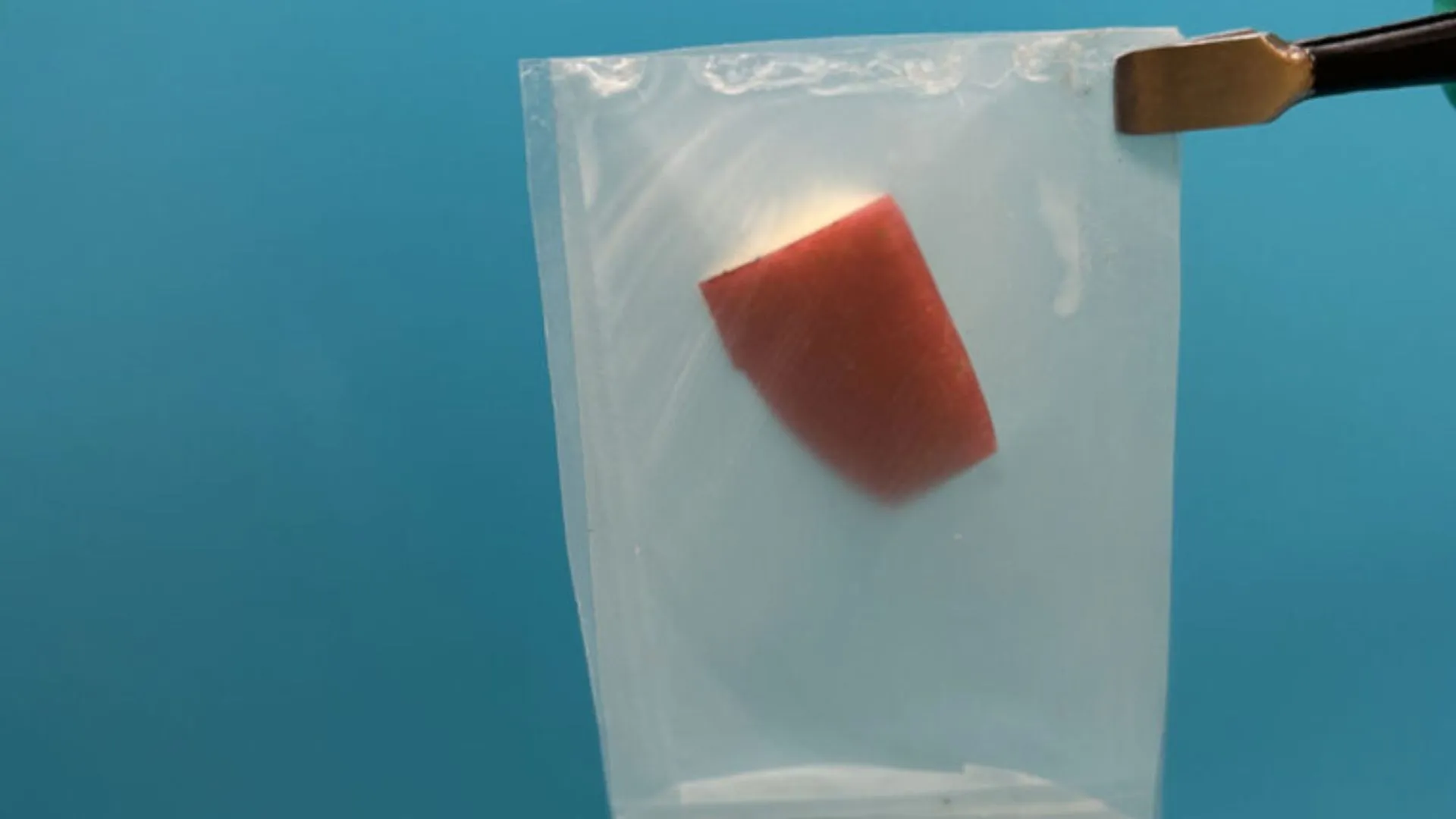 Científicos crean bioplástico LEAFF con celulosa compostable