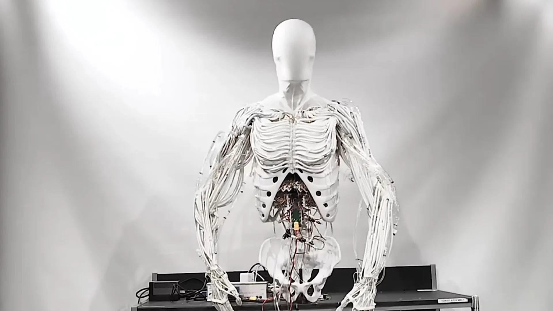 Clone Robotics and its white humanoid robot