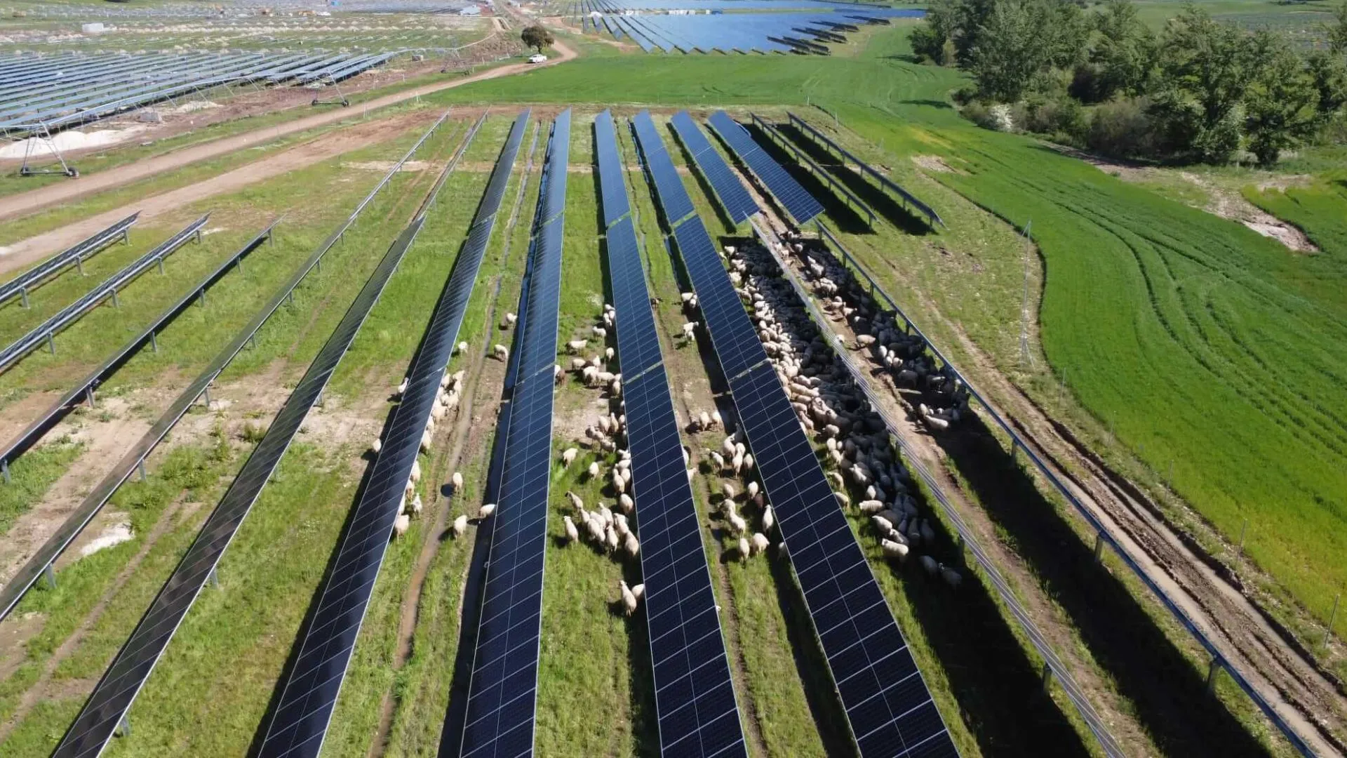 Solaria secures financing for 175 MW Oliva Solar project