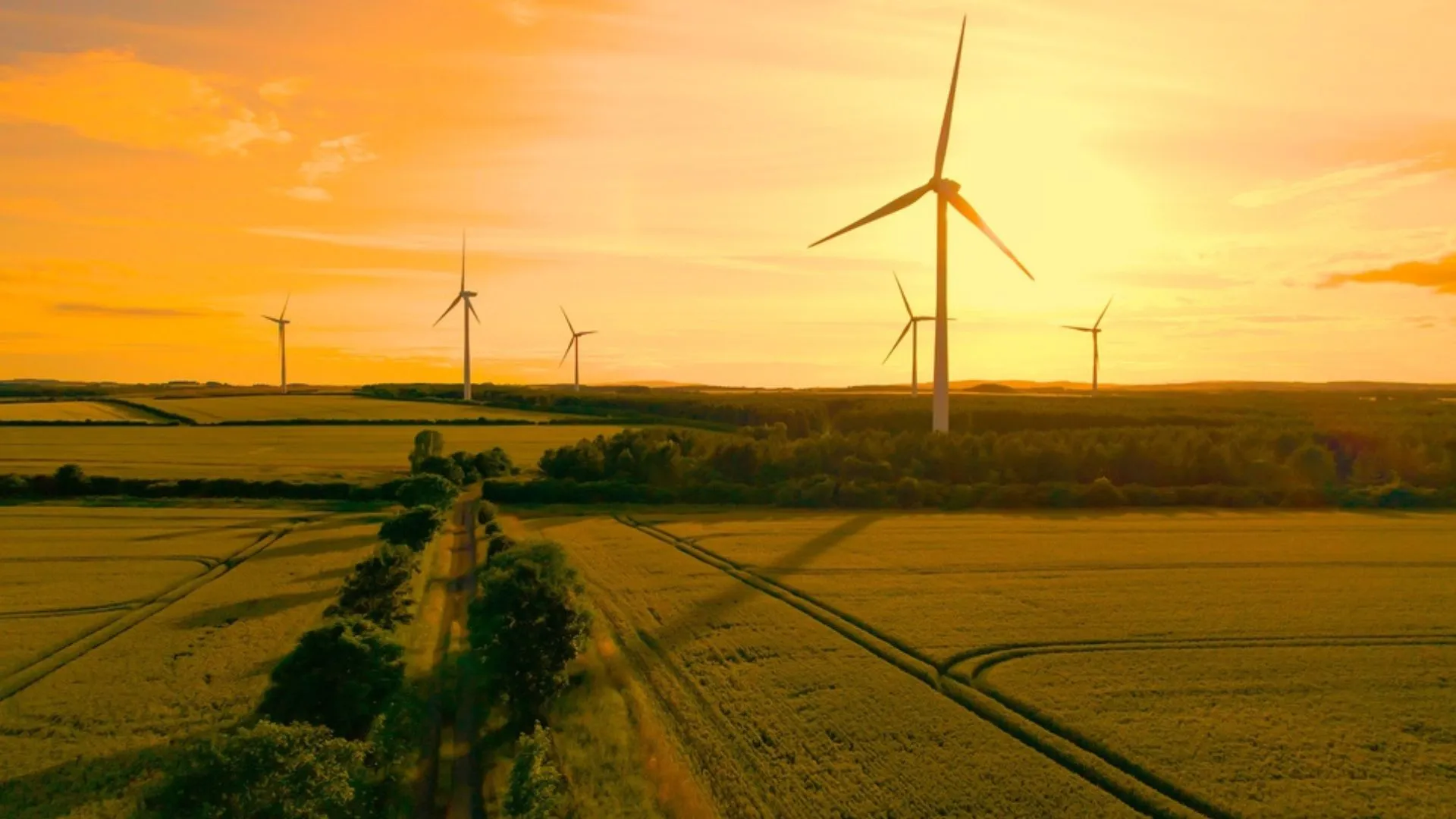 El parque eólico Zafarana será híbrido eólico-solar en 2028