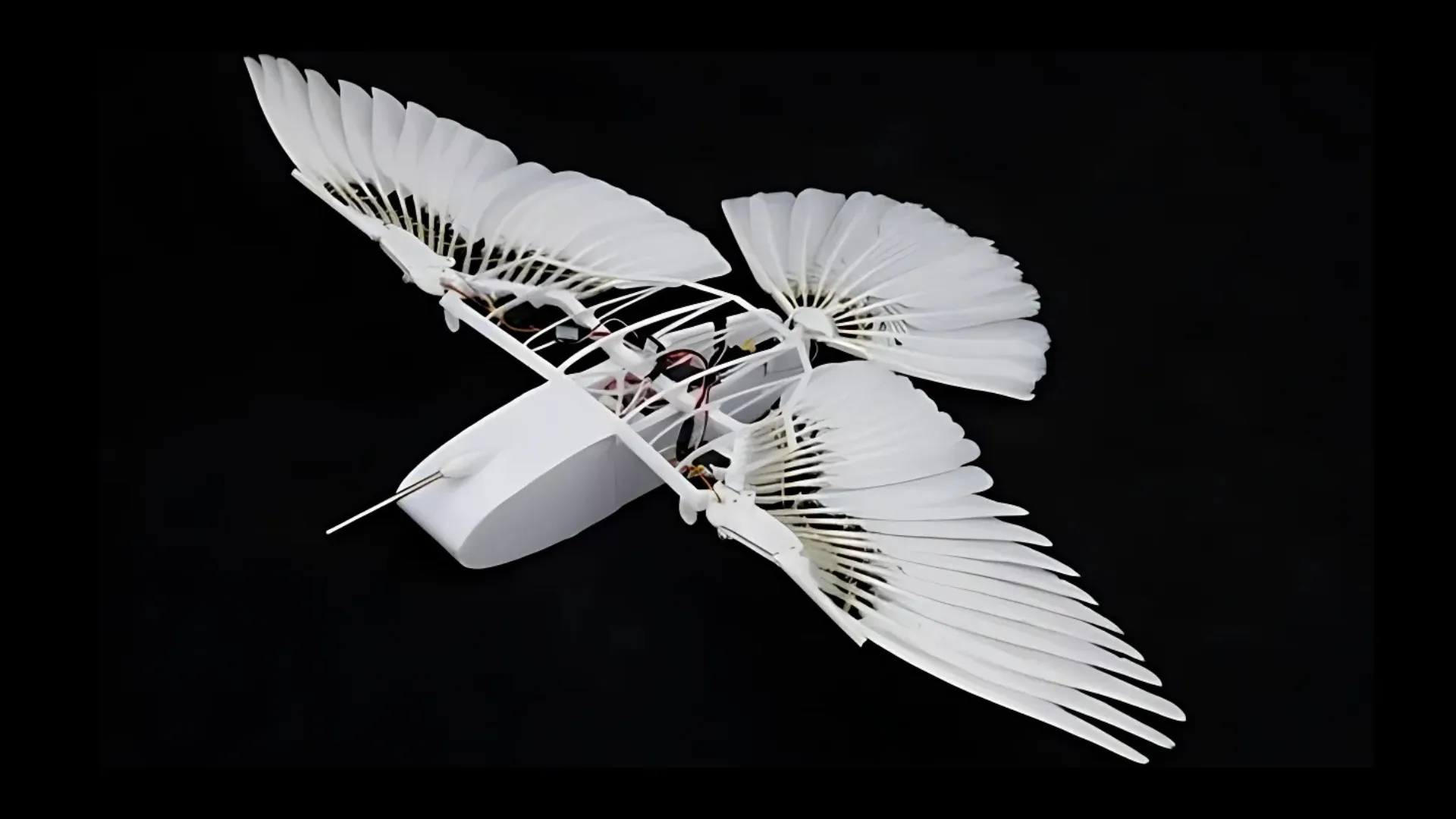 Researchers create robot pigeon for more efficient flights