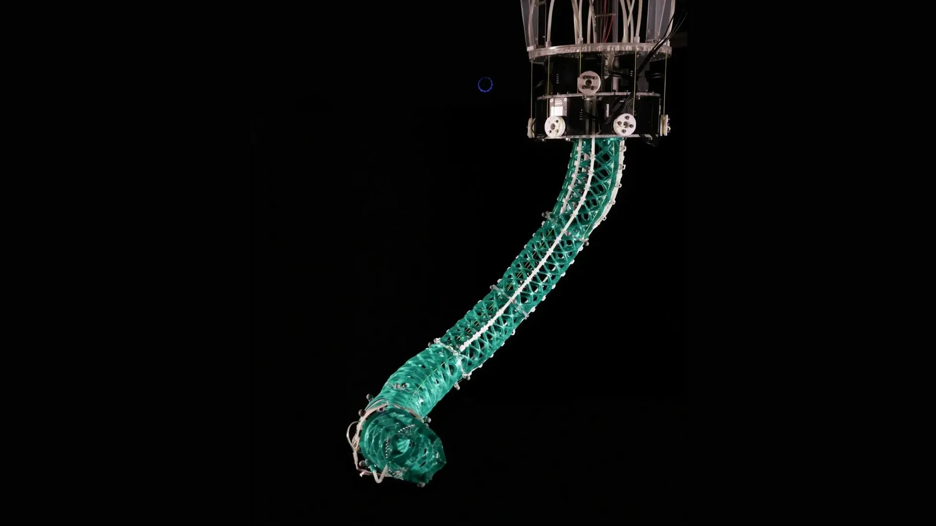 Helix Robotics desarrolla su primer robot blando comercial