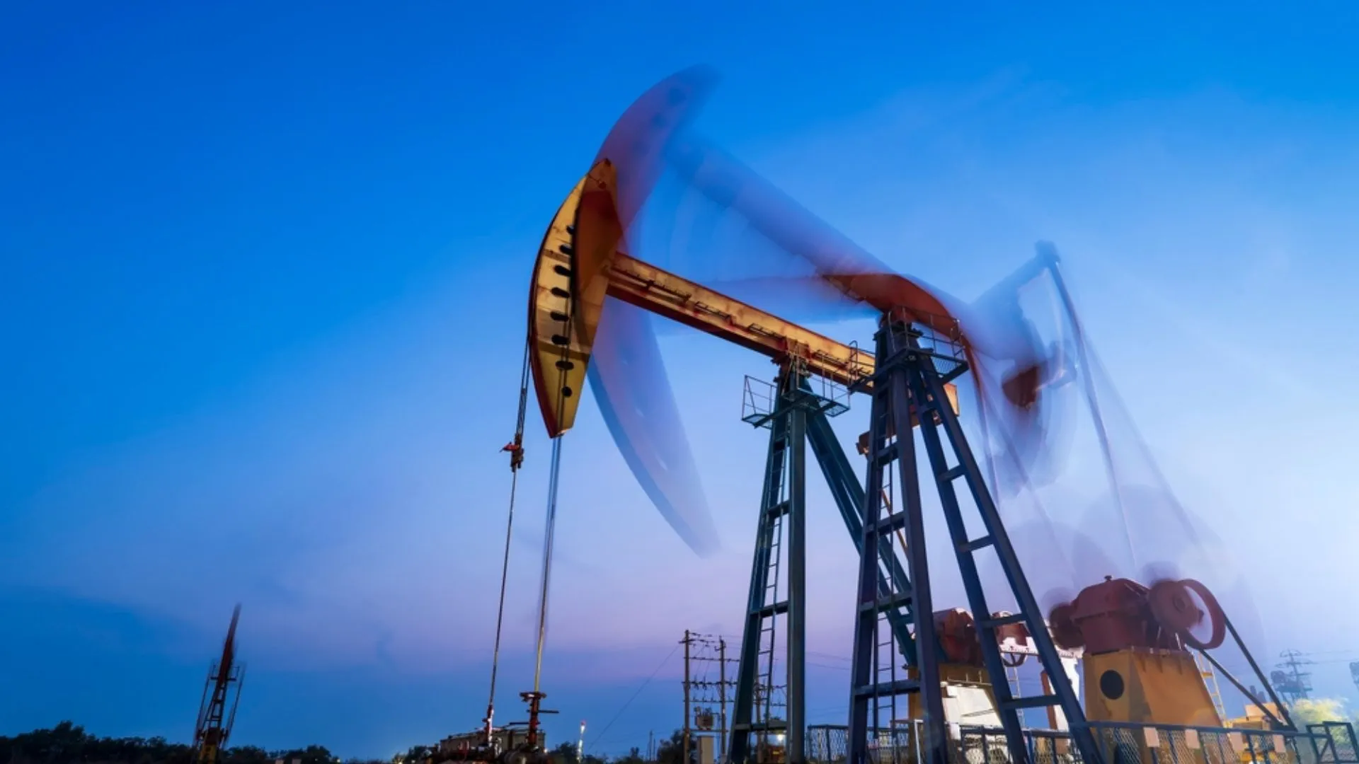 Interoil Logo InterOil Corporation (USA): Shareholders Board Members