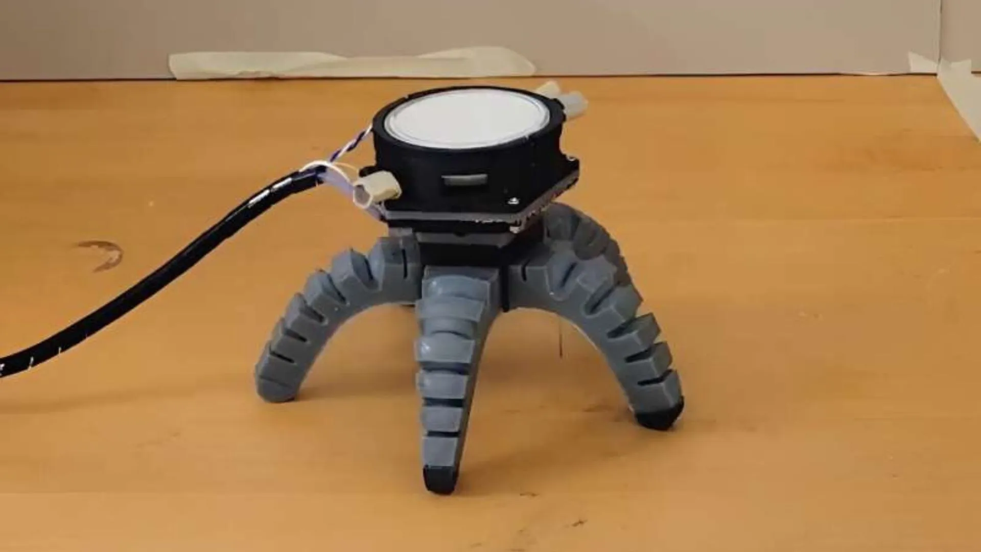 Scientists create fungus-controlled biohybrid robots