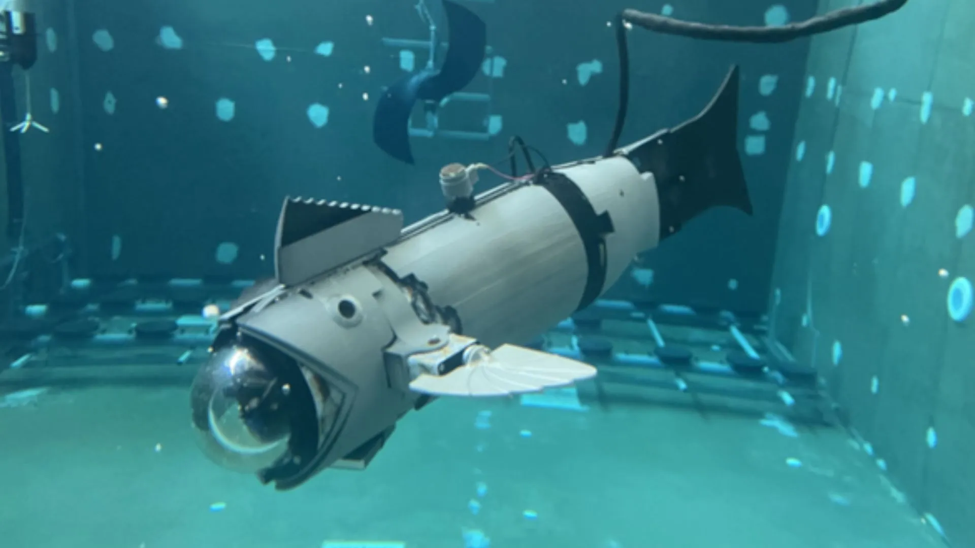 El pez robot de la UJI premiado por su innovación