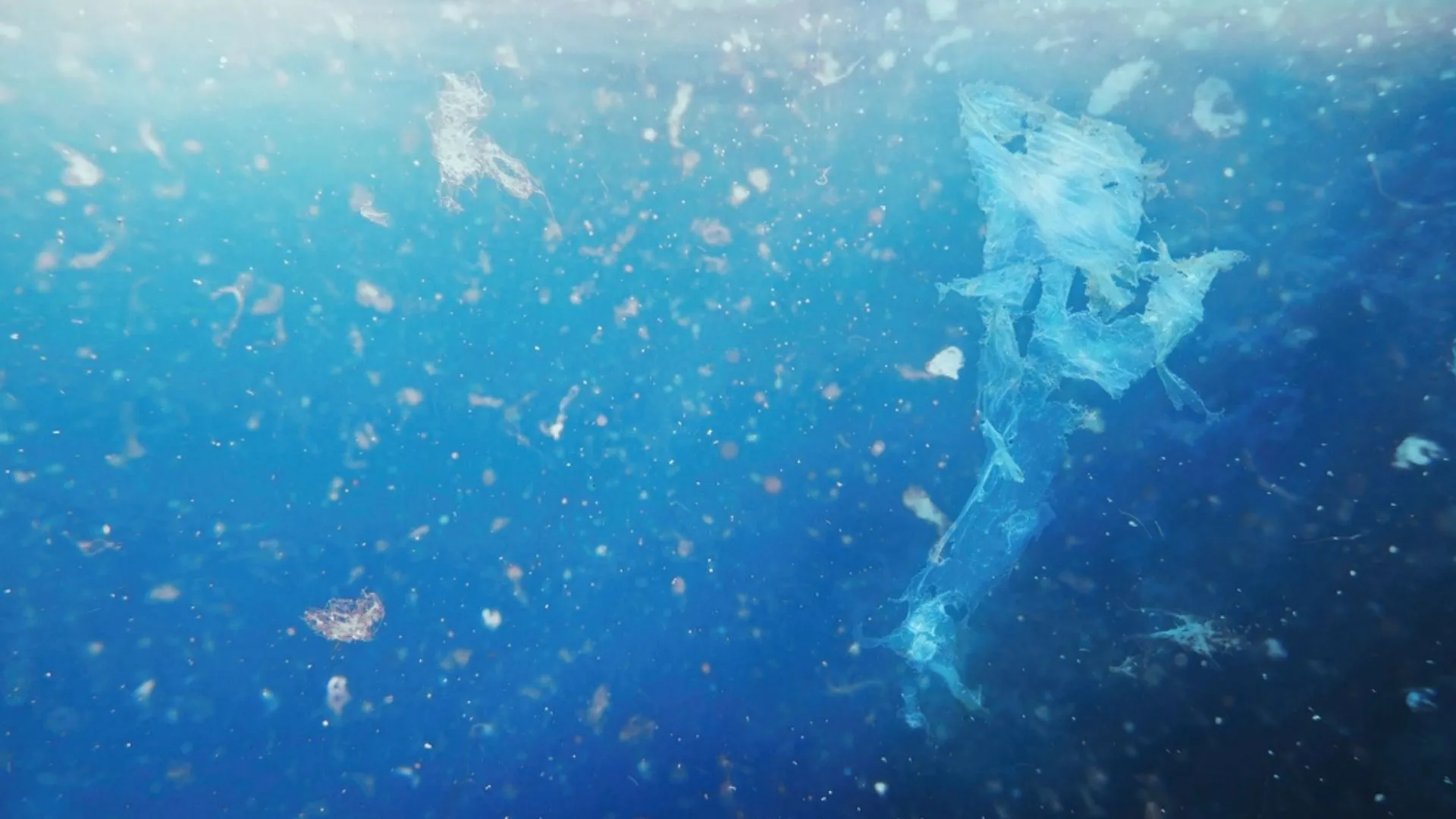 Microplásticos en profundidades oceánicas afectan al CO₂
