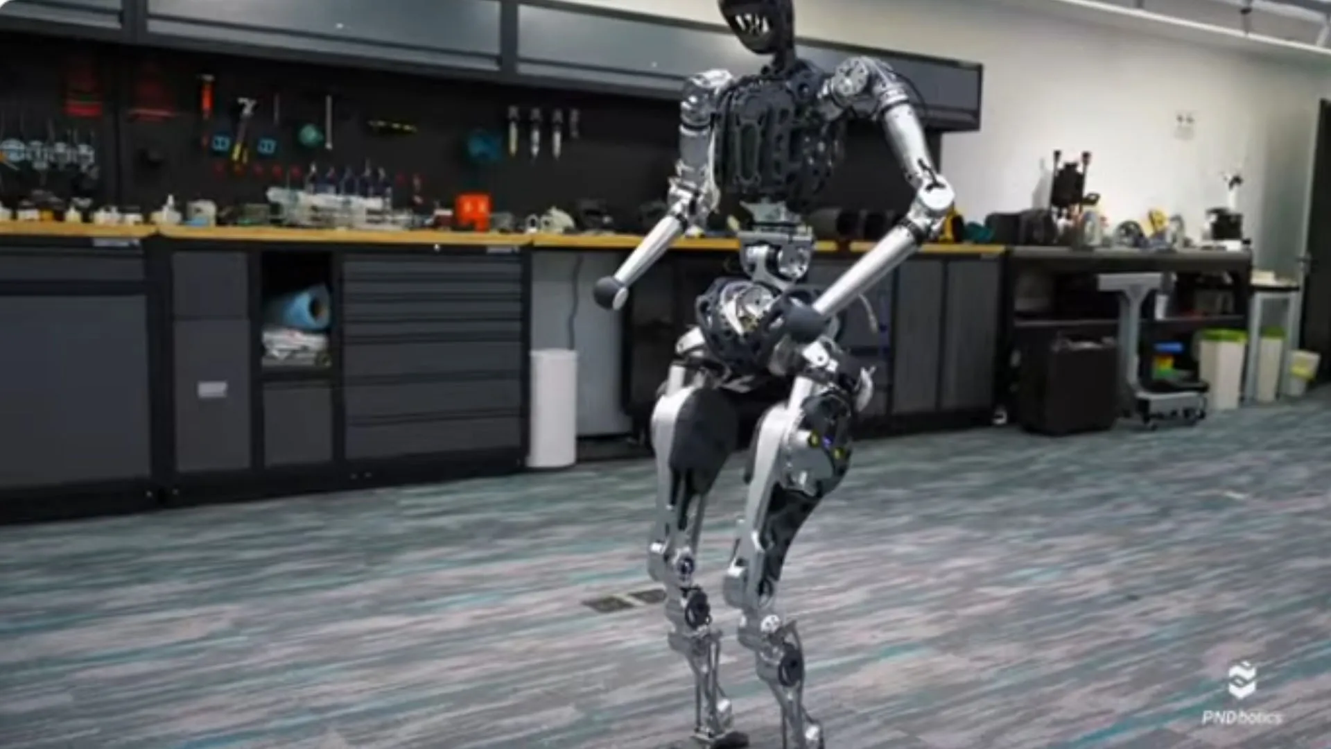 Adam: the robot that moves the pelvis better than many humans