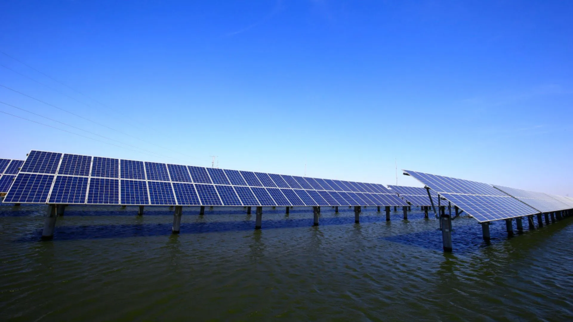 Parque solar-acuícola de Dajin genera energía en China