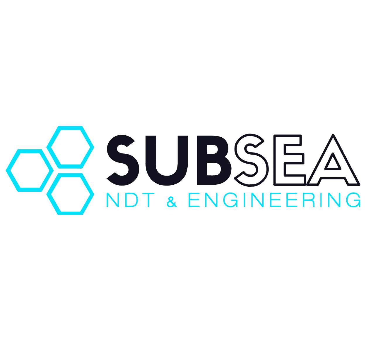 Company SUBSEA NDT & ENGINEERING - Inspenet