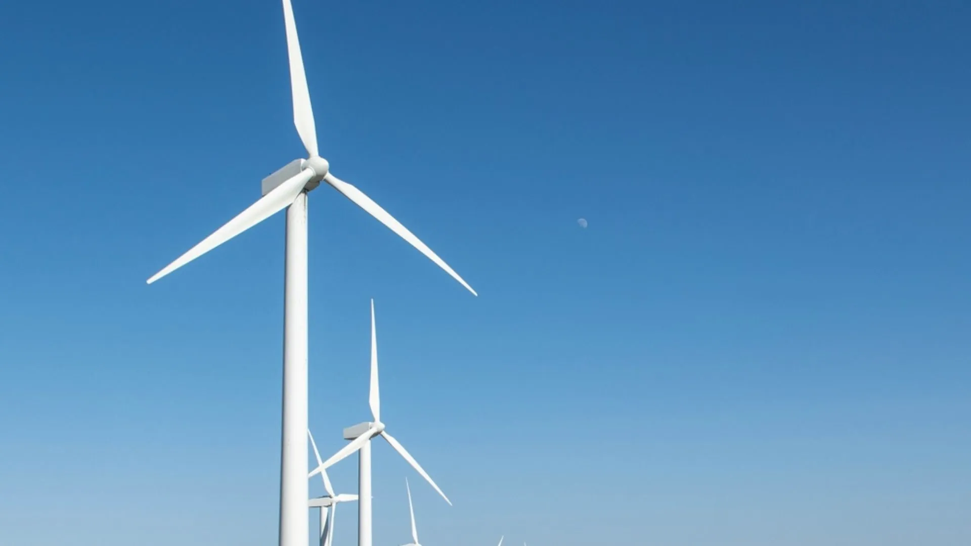 Vattenfall to build Germany's largest wind farm