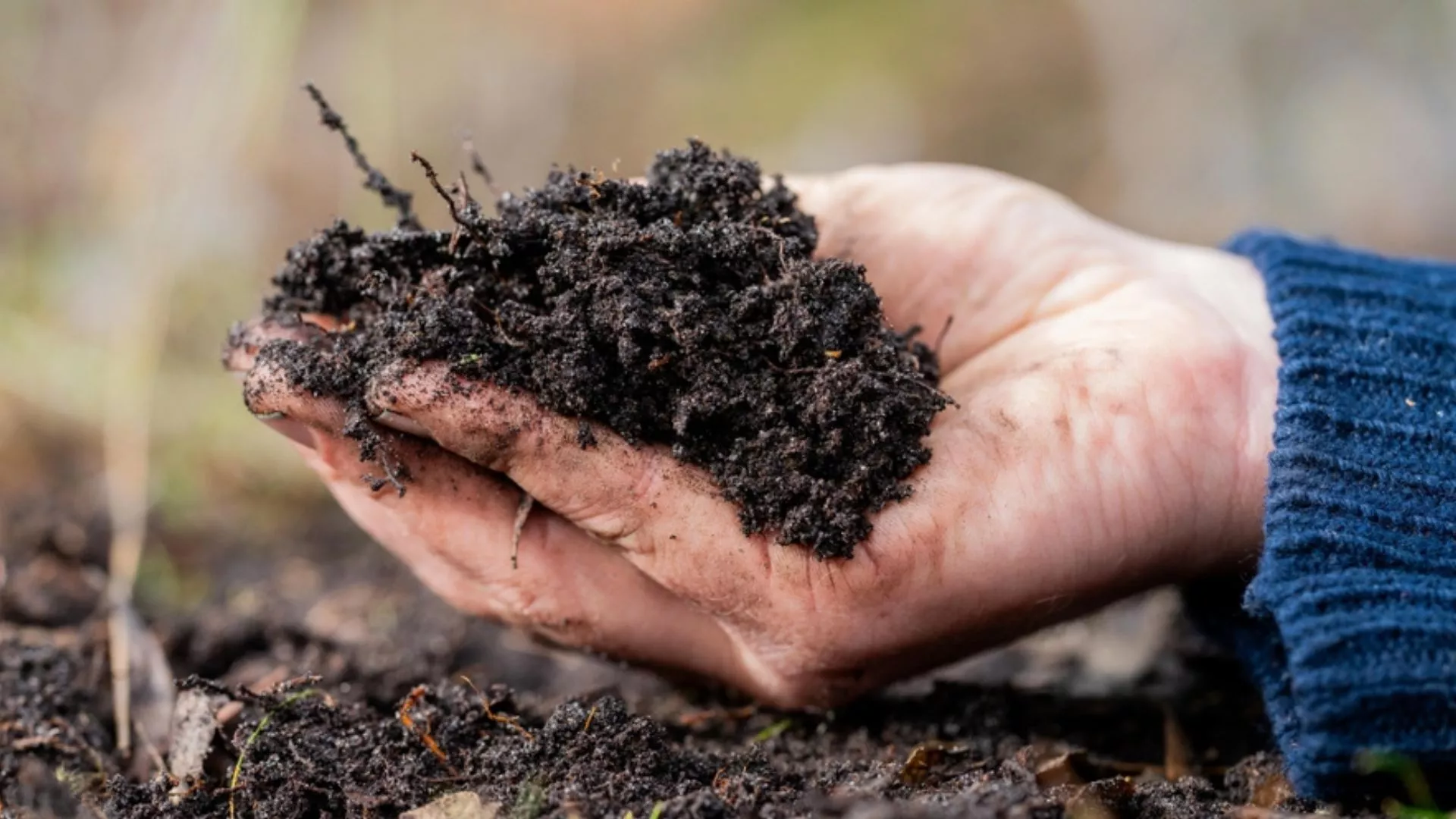 Yara develops sustainable and low carbon fertilizers