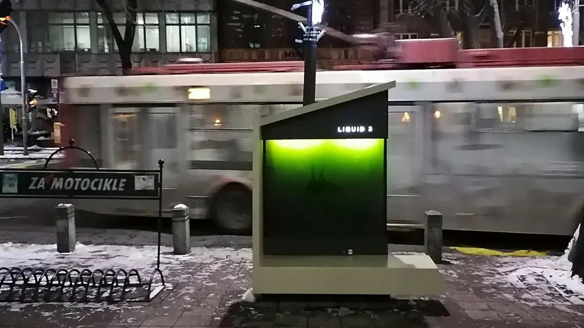 Árbol líquido: el invento serbio que reduce la contaminación