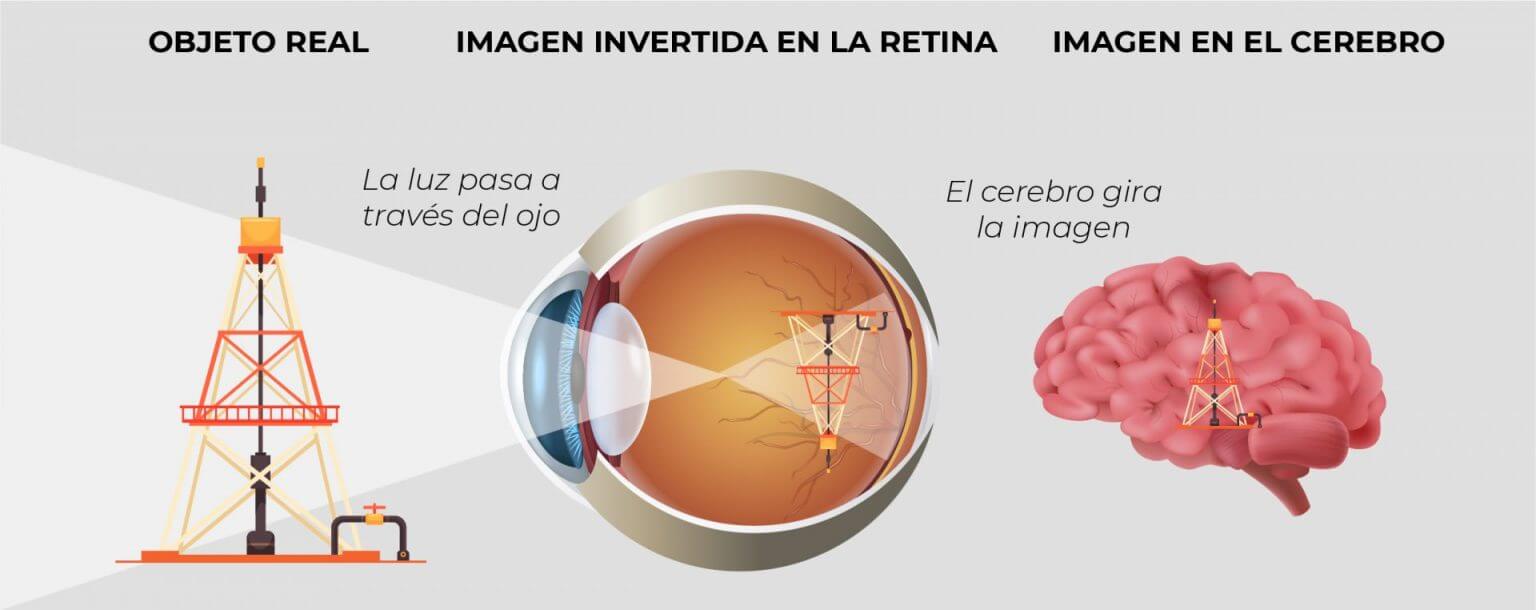 Importance of Visual Inspection in Oil Companies