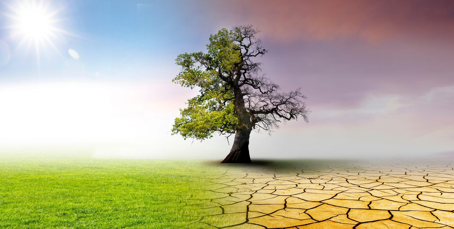 Cambio Climático: Retos y Oportunidades para el Desarrollo Sostenible