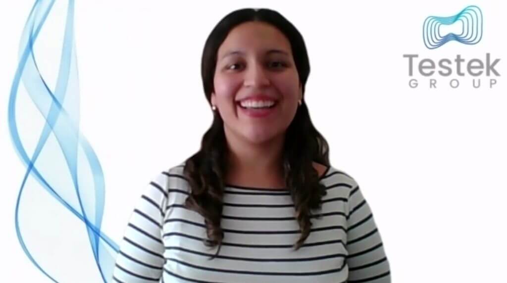 Grupo Testek y Waygate Technologies organizan Workshop de ...