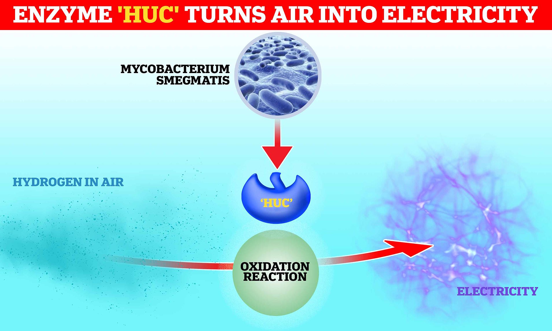 Scientists find enzyme that converts air into electricity